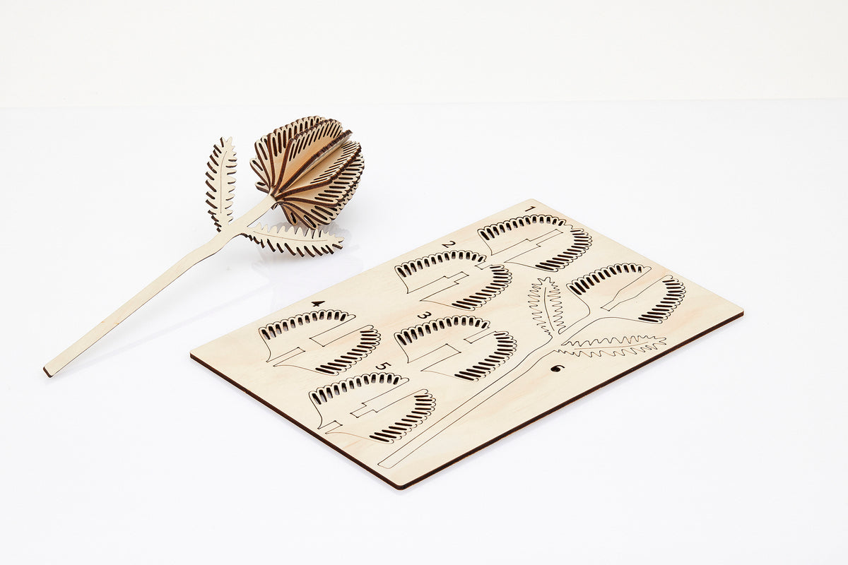 Banksia – Pinky Square